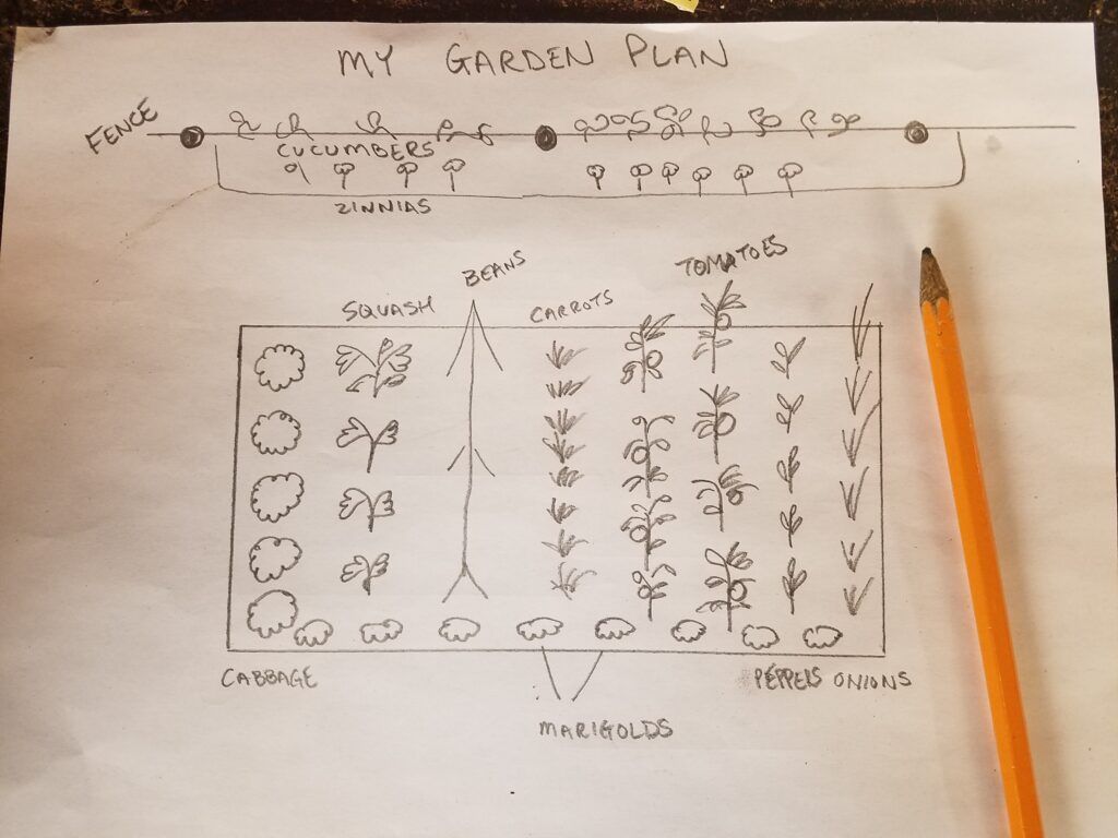 Creating a garden plan can be simple - The Morning Gardener
